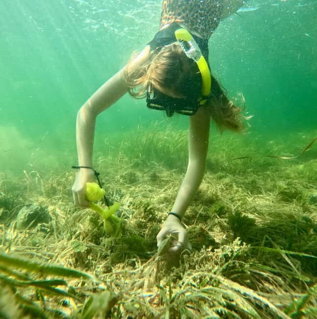 Crystal River: All Inclusive Premier Scalloping Tour - FAQ