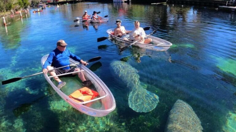 Crystal River: Clear Kayak Sunset & Night Glow Tour - The Itinerary: A Step-by-Step Overview