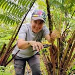 Cultivate Hapuu Ferns with Citrus Tea in the Hawaiian Rainforest - Exploring the Itinerary in Detail