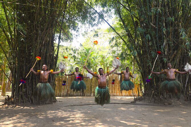 Cultural Day Tour - Transportation, Group Size, and Overall Value