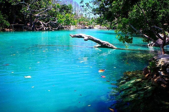 Cultural Experience & Blue Lagoon with Yumi Tours - Practical Tips for Travelers