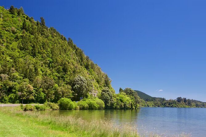 Cultural Rotorua Private Tour Tauranga Port. Whakarewarewa Ticket - What Makes This Tour Stand Out