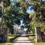 Cumberland Island Walking Tour - Authentic Experiences and Notable Highlights