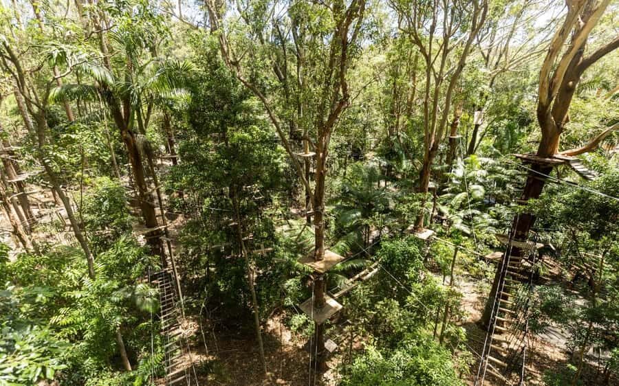 Currumbin: Treetop Challenge Adventure Park - Key Points