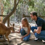 Currumbin Wildlife Sanctuary General Entry Ticket - Final Thoughts