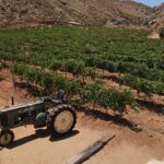 Customizable Guadalupe Wine Valley Tour - Who Will Love This Tour?