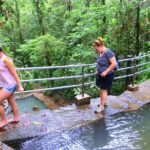 Customized Suva day tour - Who Is This Tour Best For?