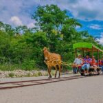 Cuzama Cenotes Adventure Day Trip - What Makes This Tour Stand Out?