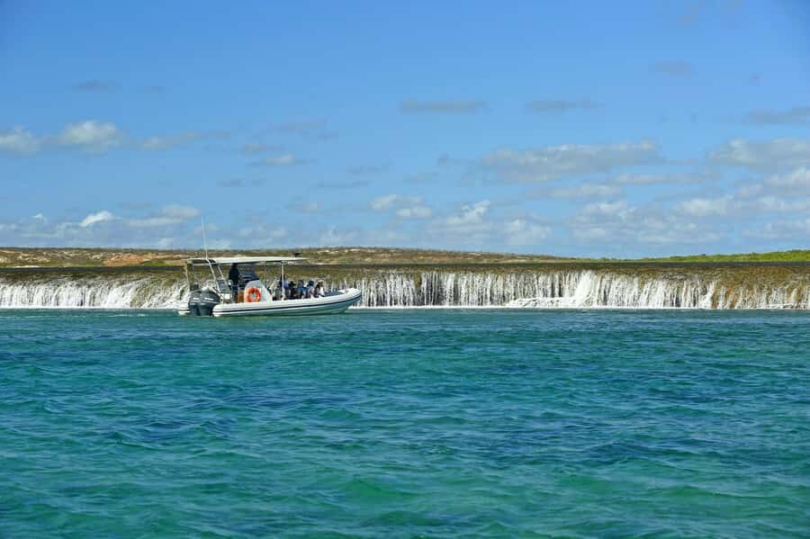 Cygnet Bay Unique Tidal Waterfall Reefs Scenic Cruise - An In-Depth Look at the Waterfall Reef Scenic Cruise