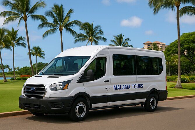 Daily Shuttle from Ko Olina to Waikiki - Who is This Shuttle Best For?