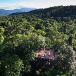 Daintree Discovery Centre Family Pass Ticket - The Value of the Daintree Discovery Centre