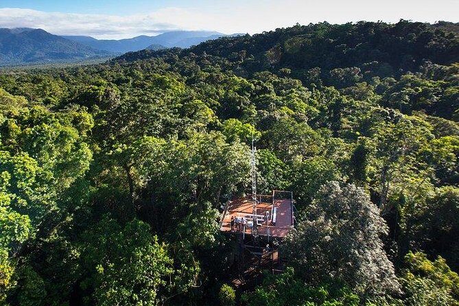 Daintree Discovery Centre Family Pass Ticket - The Value of the Daintree Discovery Centre