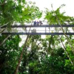 Daintree Discovery Centre Single Pass - Practical Details and Tips for Visitors