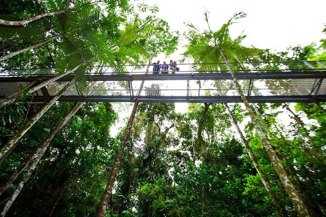 Daintree Discovery Centre Single Pass - Practical Details and Tips for Visitors