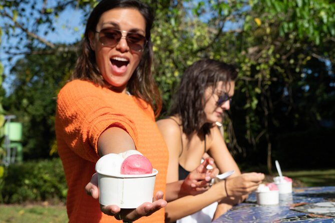 Daintree Rainforest and Mossman Gorge: Full Day Tour - Why This Tour Is a Great Choice