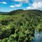 Daintree: River Rainforest Crocodile & Wildlife Cruise (DV) - The Itinerary: What to Expect on Your Cruise
