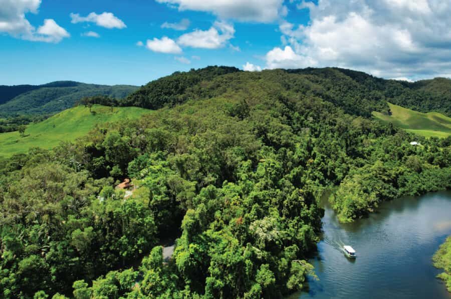 Daintree: River Rainforest Crocodile & Wildlife Cruise (DV) - The Itinerary: What to Expect on Your Cruise