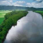 Daintree River Rainforest: Crocodile & Wildlife Cruises (DG) - The Sum Up