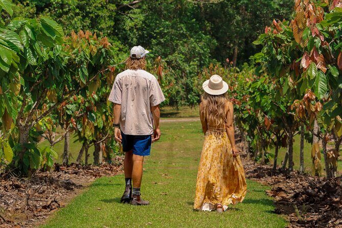 Daintree Sensations - Who Will Love This Tour?