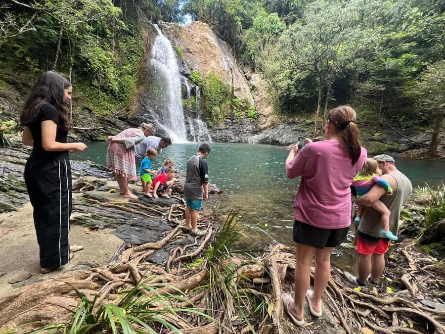 Daintree waters tour, all terrain vehicles and light lunch. - FAQs