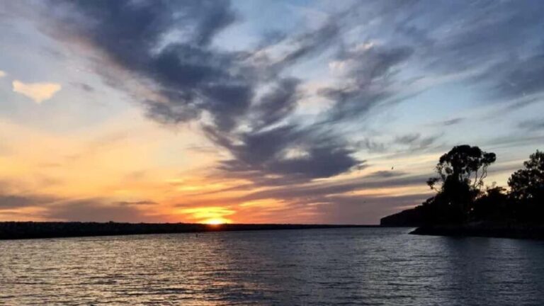 Dana Point: Evening Harbor Wine Cruise with snacks - The Sum Up