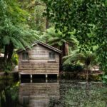 Dandenong Ranges Private Day Tour - Authentic Experiences and Insider Tips