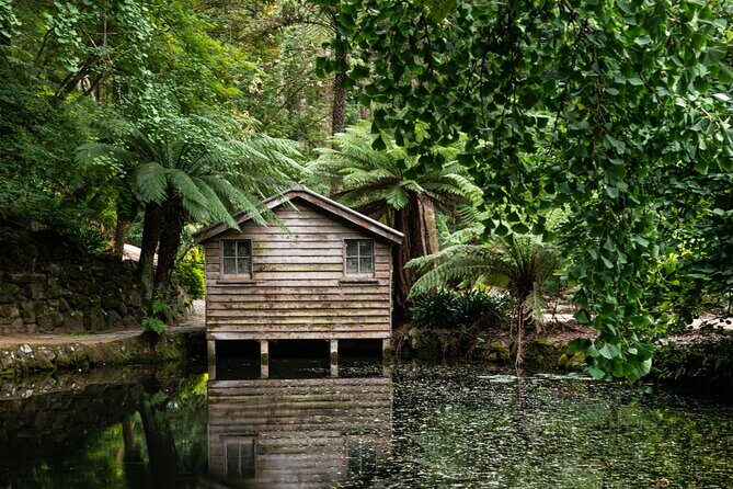 Dandenong Ranges Private Day Tour - Authentic Experiences and Insider Tips