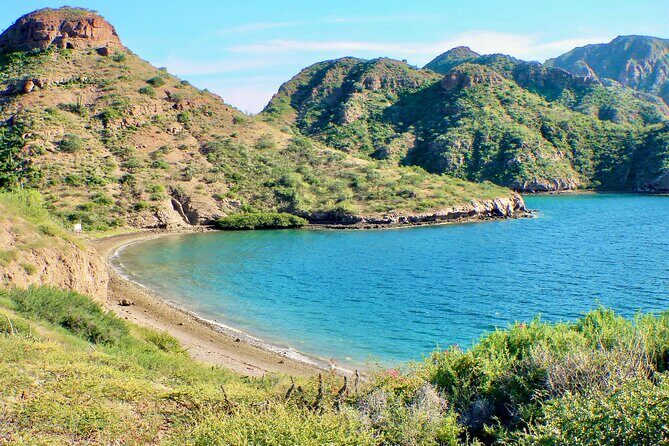 Danzante Island and Snorkel Tour from Villas del Palmar Hotel - Why This Tour Offers Great Value