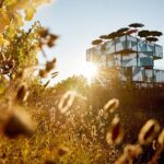 d'Arenberg McLaren Vale: The Blending Bench - Why the Price Reflects the Experience