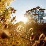 d'Arenberg: The Blending Bench Experience - The Grounds and Surroundings