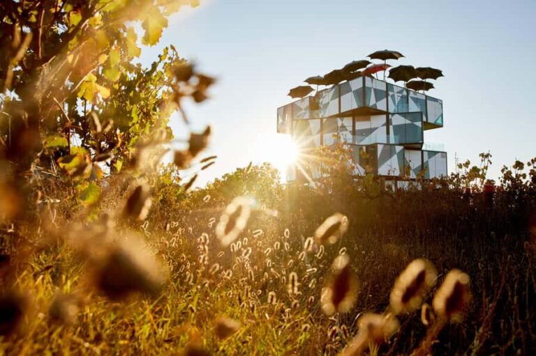 d'Arenberg: The Blending Bench Experience - The Grounds and Surroundings