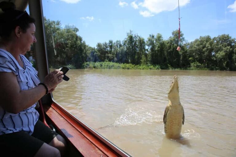 Darwin: Adelaide River Queen Original Jumping Crocodiles - Introduction to the Adelaide River Crocodile Tour