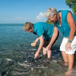 Darwin: Aquascene Fish Feeding Experience - How Does the Experience Unfold?