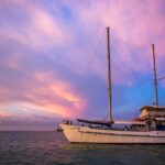 Darwin: Cape Adieu Sunset Cruise with 4-Course Dinner - Who Will Love This Cruise?