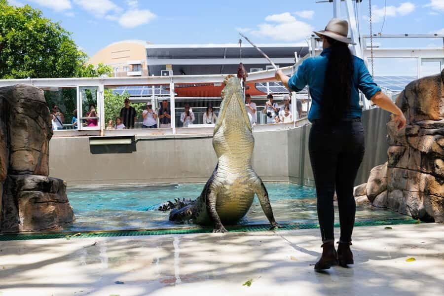 Darwin: Crocosaurus Cove and RFDS Entry - The Sum Up