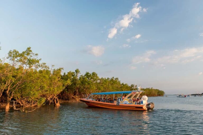 Darwin Harbour Cruise - The Sum Up: Why This Cruise Is a Solid Choice