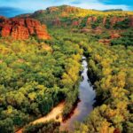 Darwin: Kakadu & Nourlangie Day Trip Plus Billabong Cruise - Daily Schedule Breakdown