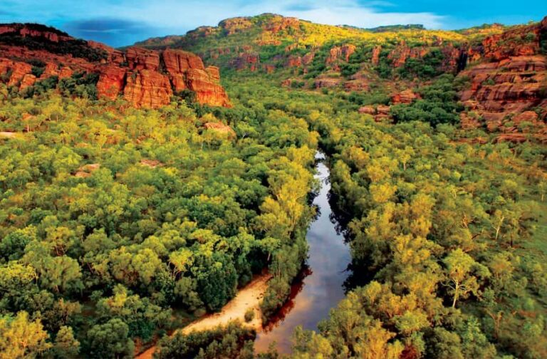 Darwin: Kakadu & Nourlangie Day Trip Plus Billabong Cruise - Daily Schedule Breakdown