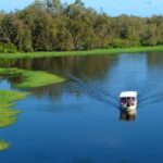 Darwin: Kakadu & Ubirr Cultural Experience - What Makes This Tour Stand Out?