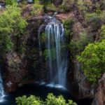Darwin: Litchfield National Park Waterfalls & Wildlife Tour - Transport, Guide, and Group Dynamics