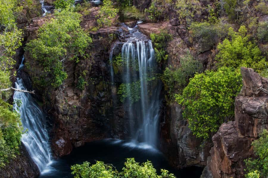 Darwin: Litchfield National Park Waterfalls & Wildlife Tour - Transport, Guide, and Group Dynamics