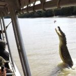 Darwin: Pathfinder Original Jumping Crocodile Cruise - Who Is This Tour Best For?