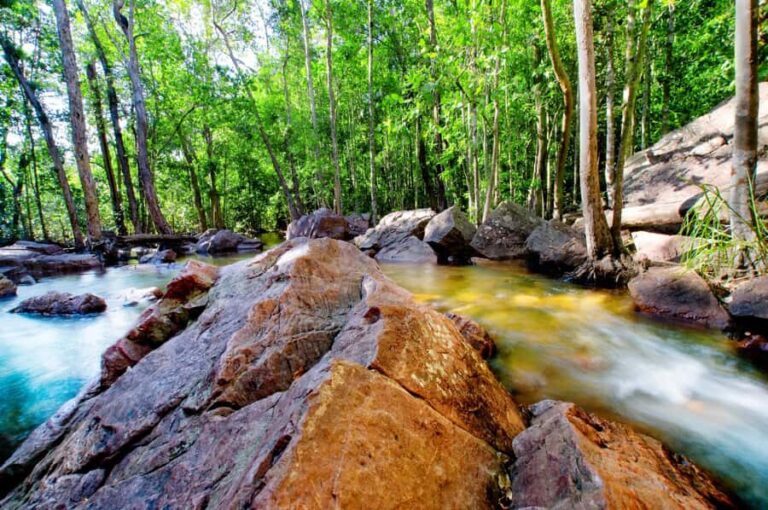 Darwin: PRIVATE Litchfield Park Sub-Tropical Escape - What You Can Expect on the Day