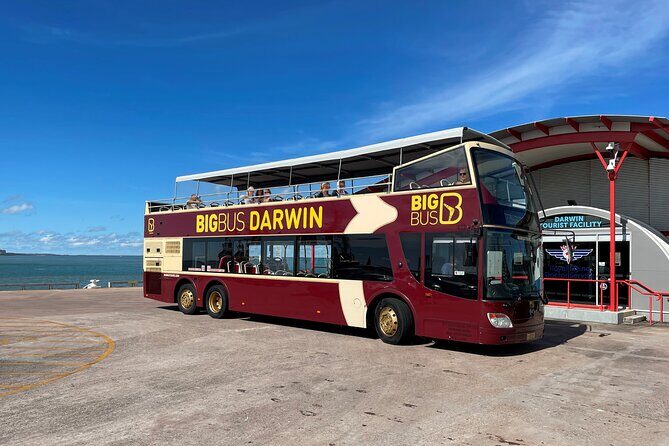Darwin Shore Excursion: Hop-on Hop-off Bus Tour - The Experience on the Bus: Views, Commentary, and Comfort