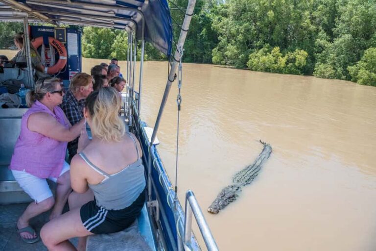 Darwin: Spectacular Jumping Crocodile Adelaide River Cruise - What the Reviews Tell Us