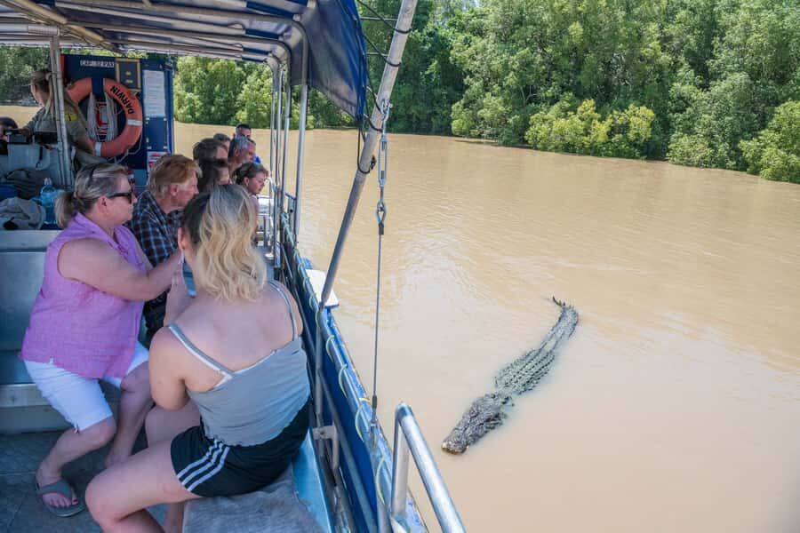Darwin: Spectacular Jumping Crocodile Adelaide River Cruise - What the Reviews Tell Us