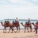 Darwin: Sunset Camel Ride along Mindil Beach - The Experience Itself