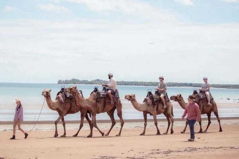 Darwin: Sunset Camel Ride along Mindil Beach - The Experience Itself