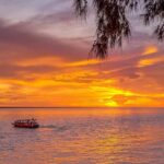 Darwin: Sunset Harbour Cruise with Fish and Chips Dinner - Who Will Love This Tour?