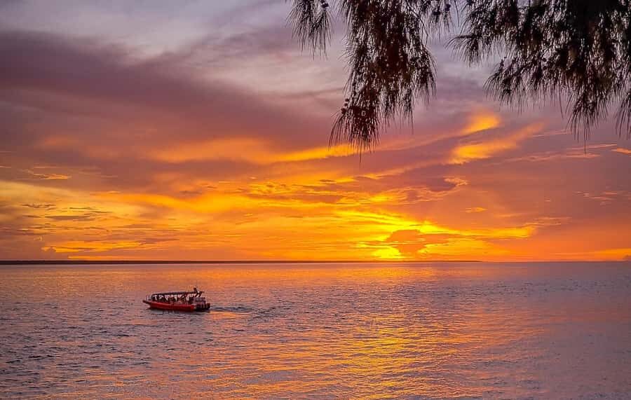 Darwin: Sunset Harbour Cruise with Fish and Chips Dinner - Who Will Love This Tour?